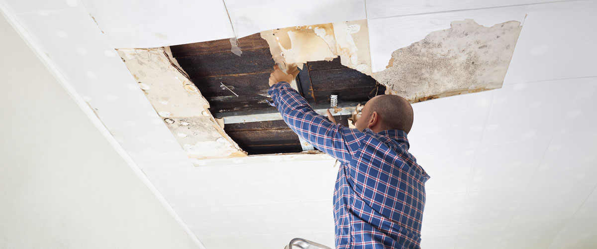 Walls and Ceilings Affected by Water Damage: What to Do Next?