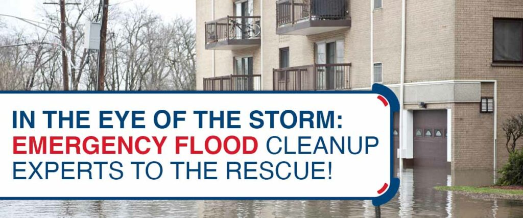 In the Eye of the Storm: Emergency Flood Cleanup Experts to the Rescue!