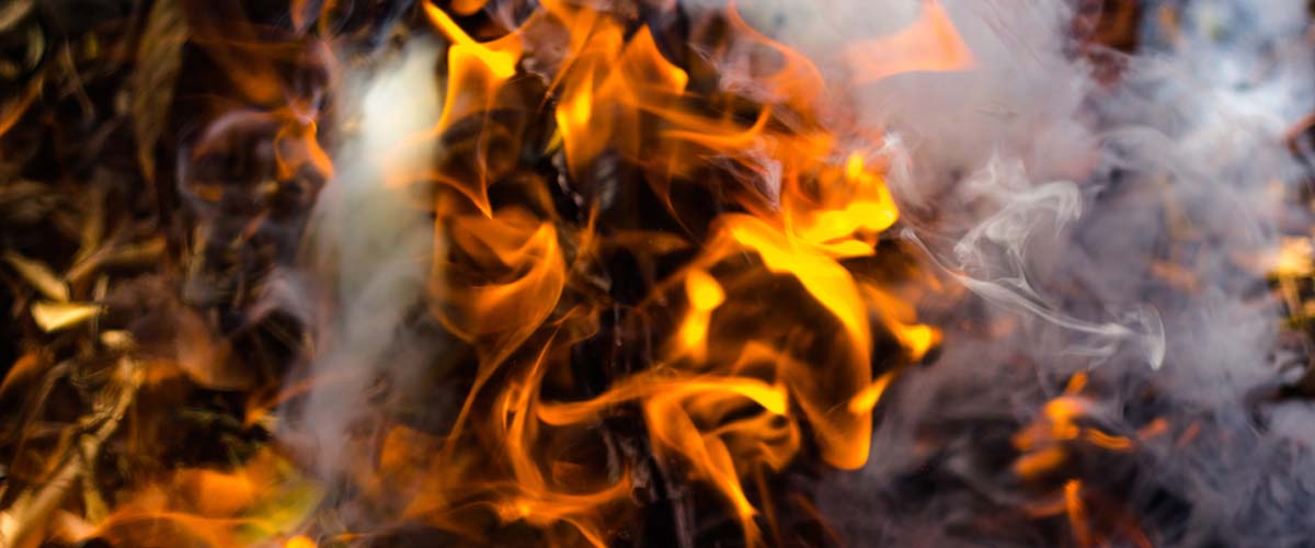 Turning Ashes into Assets: Mastering Fire Damage Mitigation Strategies!