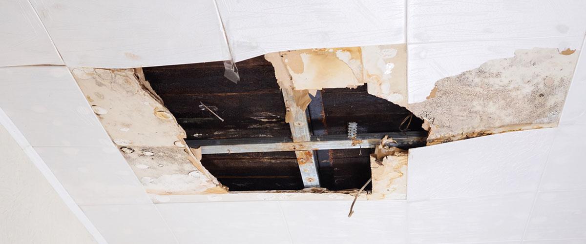 Walls and Ceilings Affected by Water Damage: What to Do Next?